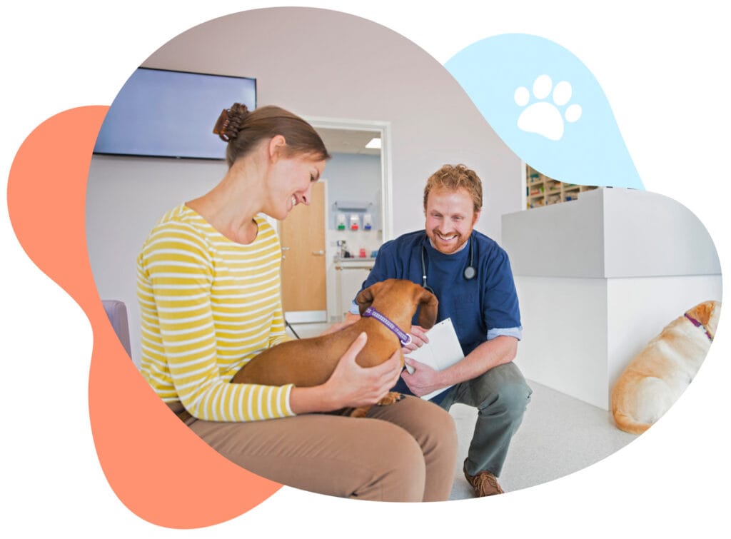 Veterinary Website Design Melbourne | Vet Clinic Web Design