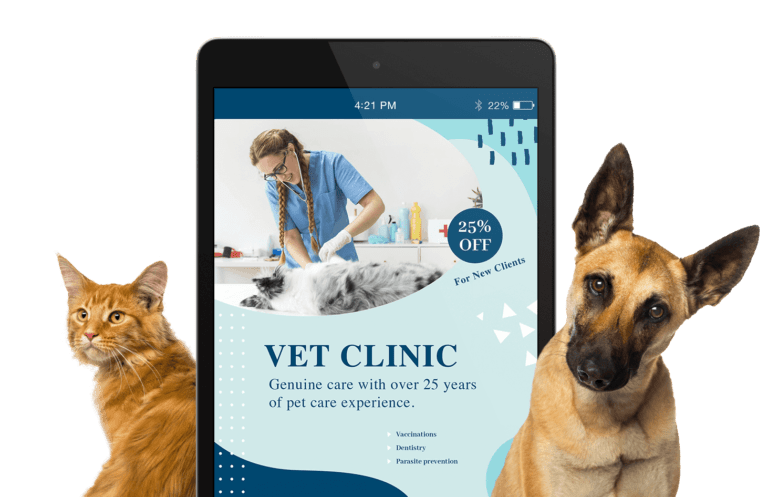 Veterinary Website Design Melbourne | Vet Clinic Web Design